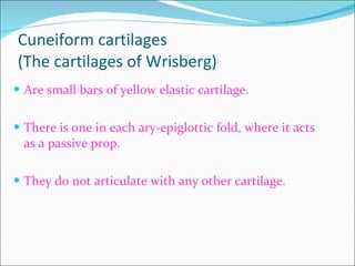 E.N.T.Anatomy and physiology of larynx.(dr.usif chalabe) | PPT