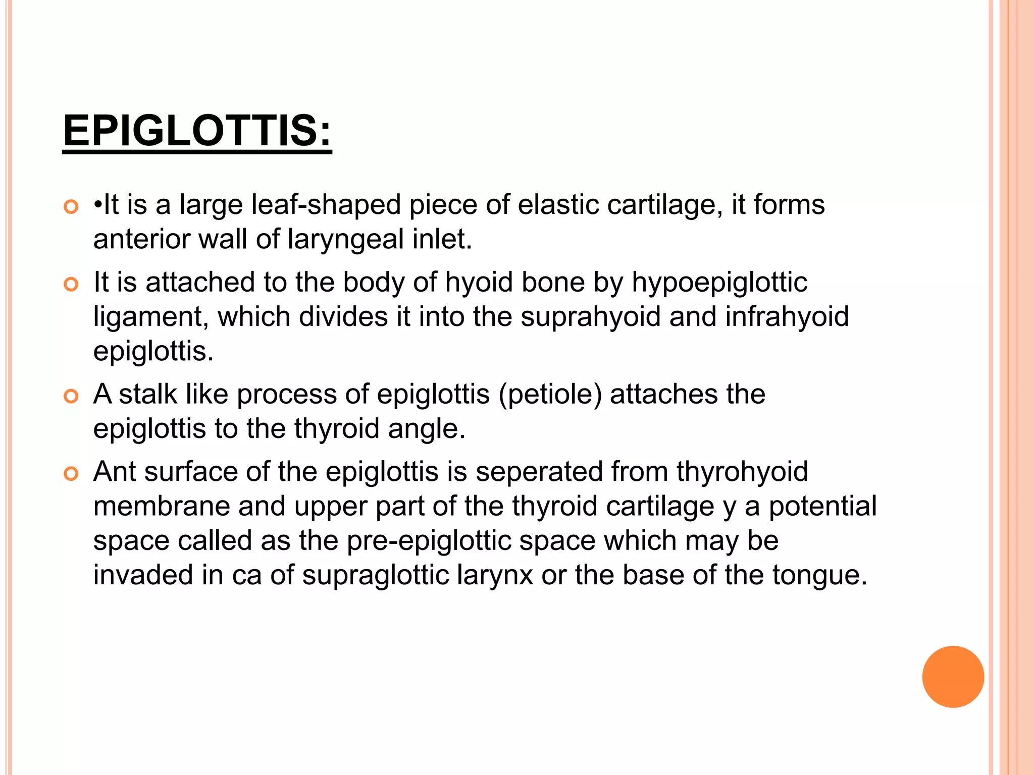 Anatomy and physiology of larynx | PPTX