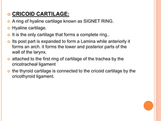 Anatomy and physiology of larynx | PPTX