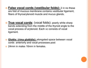 Anatomy and physiology of larynx | PPTX