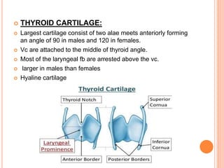 Anatomy and physiology of larynx | PPTX