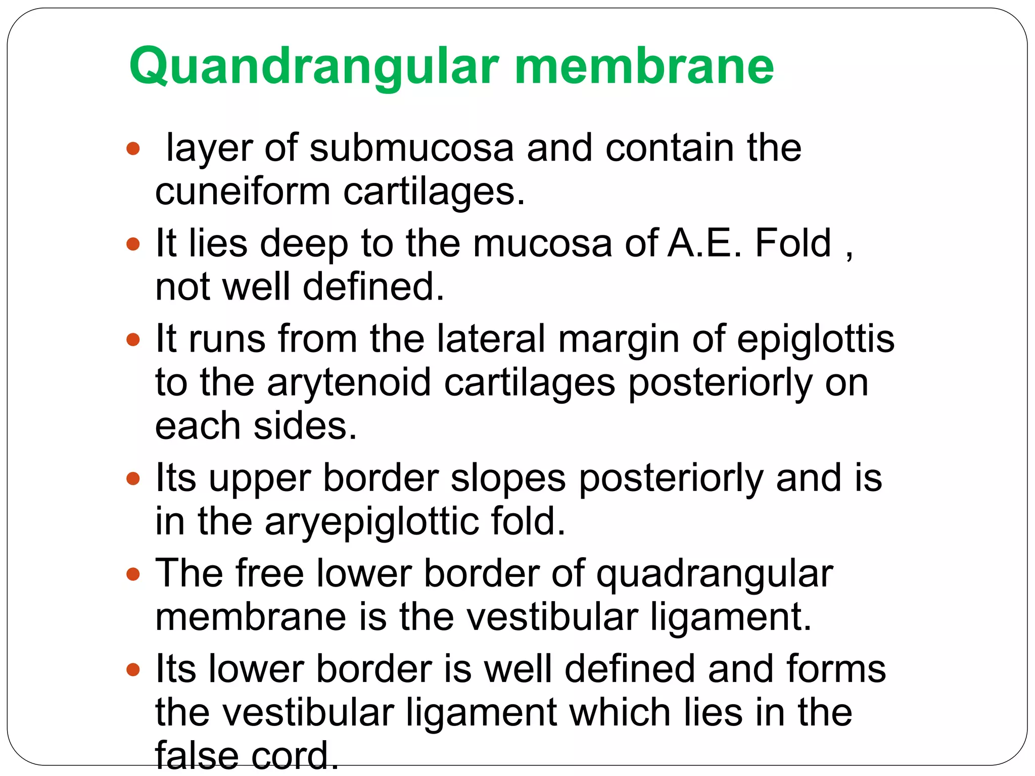Anatomy and Physiology of larynx.pptx