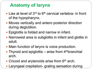 Anatomy and Physiology of larynx.pptx