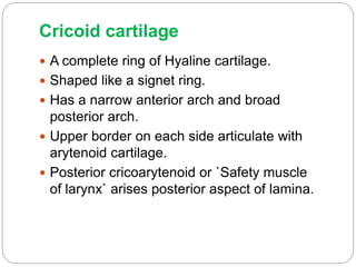 Anatomy and Physiology of larynx.pptx