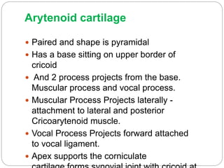 Anatomy and Physiology of larynx.pptx