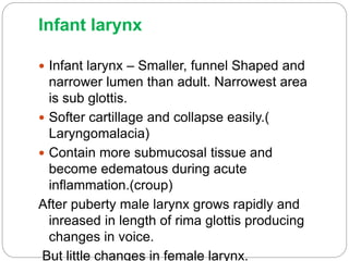 Anatomy and Physiology of larynx.pptx