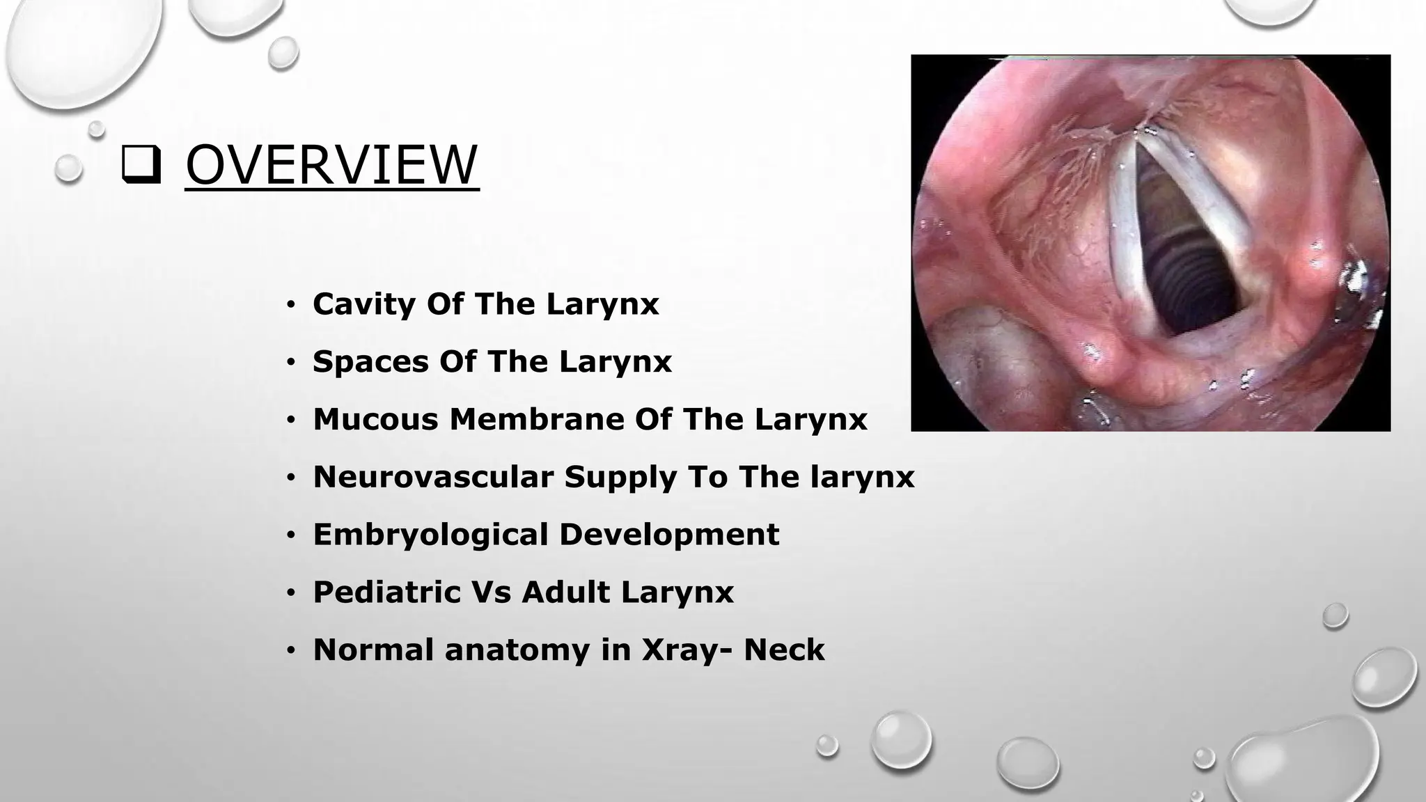 Anatomy and Physiology of larynx 3rd year MBBS.pptx