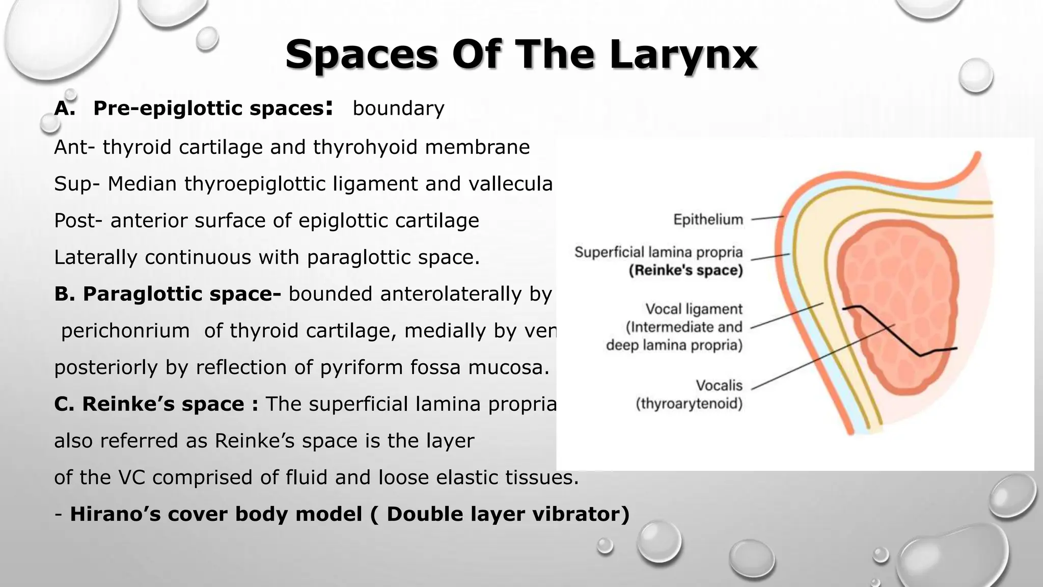 Anatomy and Physiology of larynx 3rd year MBBS.pptx