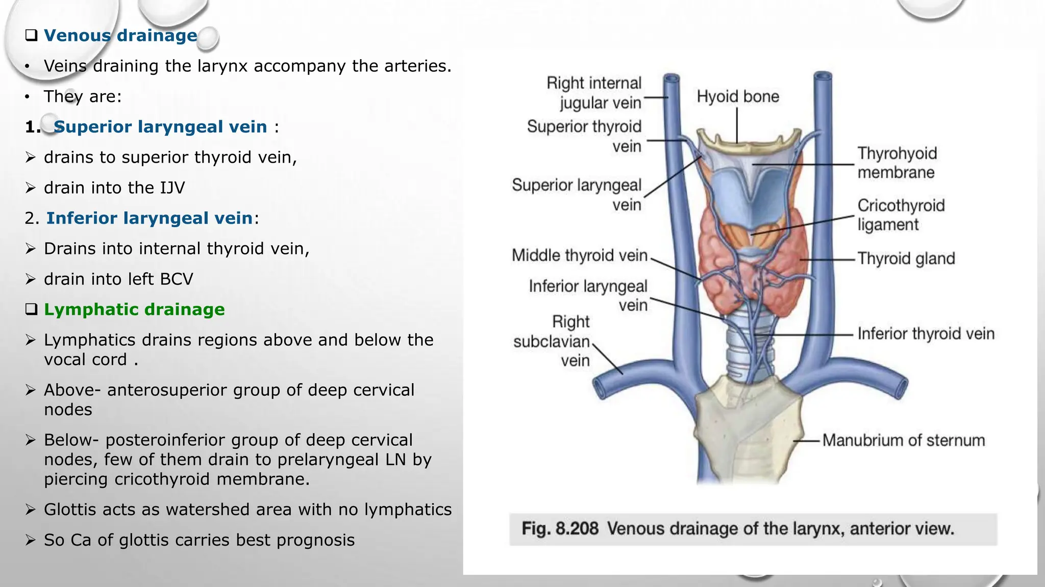 Anatomy and Physiology of larynx 3rd year MBBS.pptx