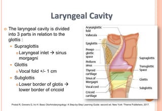 Anatomy and physiology of larynx Revy.pptx