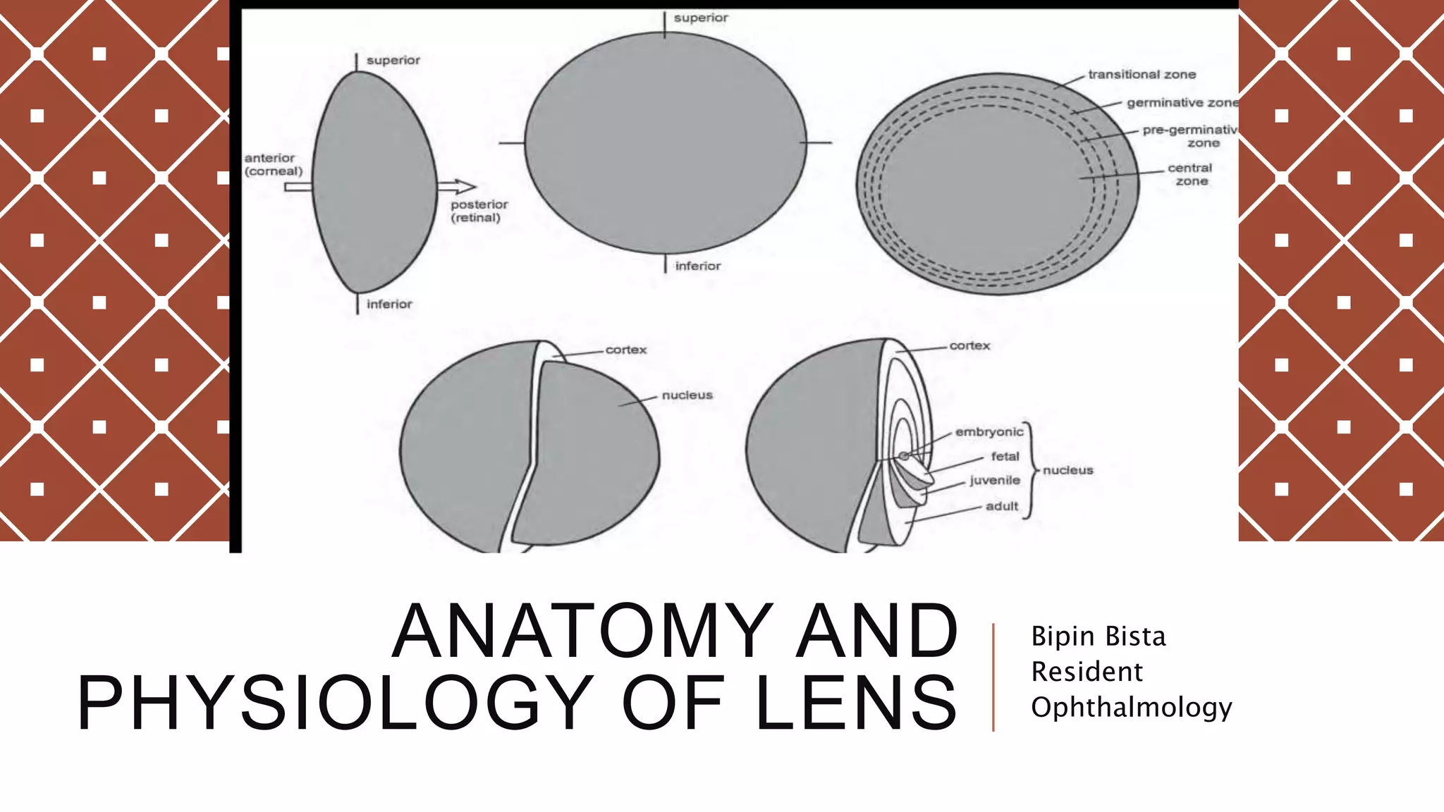Anatomy and physiology of lens | PPTX
