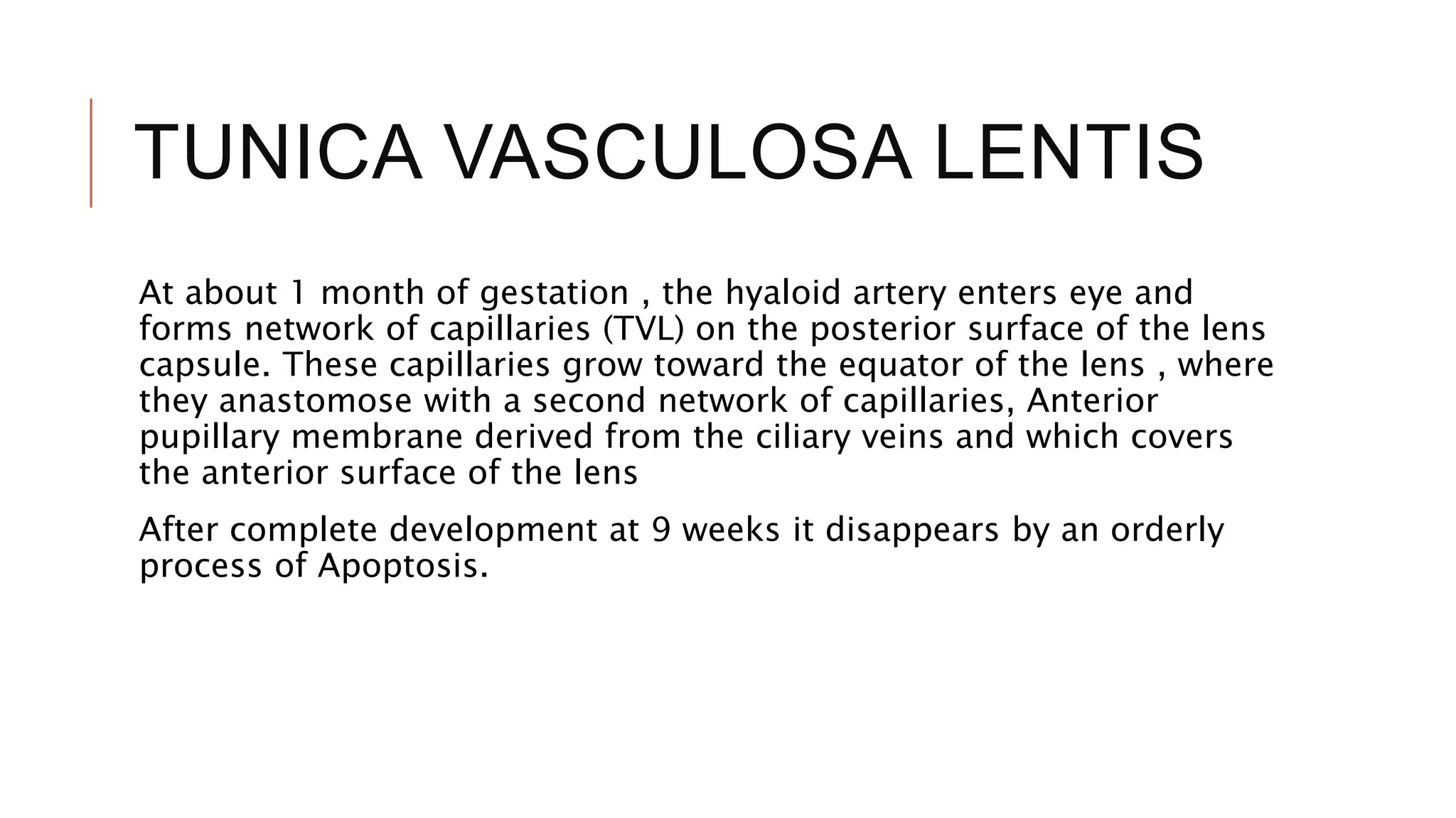 Anatomy and physiology of lens | PPTX