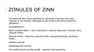 Anatomy and physiology of lens | PPTX