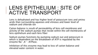 Anatomy and physiology of lens | PPTX