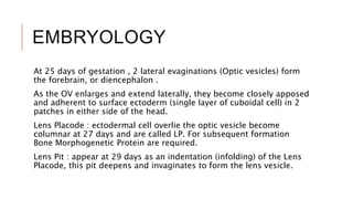 Anatomy and physiology of lens | PPTX