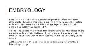 Anatomy and physiology of lens | PPTX