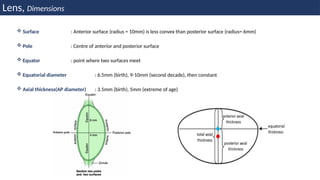 Anatomy and physiology of Lens. power point | PPTX
