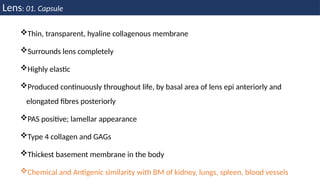 Anatomy and physiology of Lens. power point | PPTX