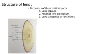 Anatomy and Physiology of Lens.pptx mmmm | PPTX