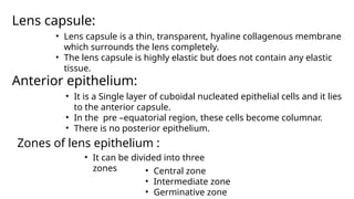Anatomy and Physiology of Lens.pptx mmmm | PPTX
