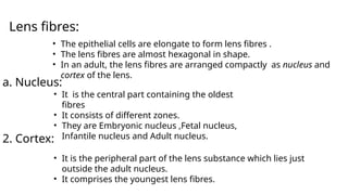 Anatomy and Physiology of Lens.pptx mmmm | PPTX