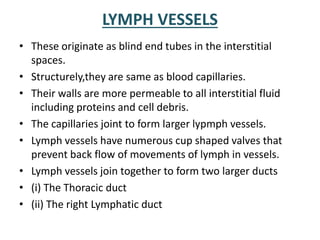 Anatomy of Lymphatic system | PPTX