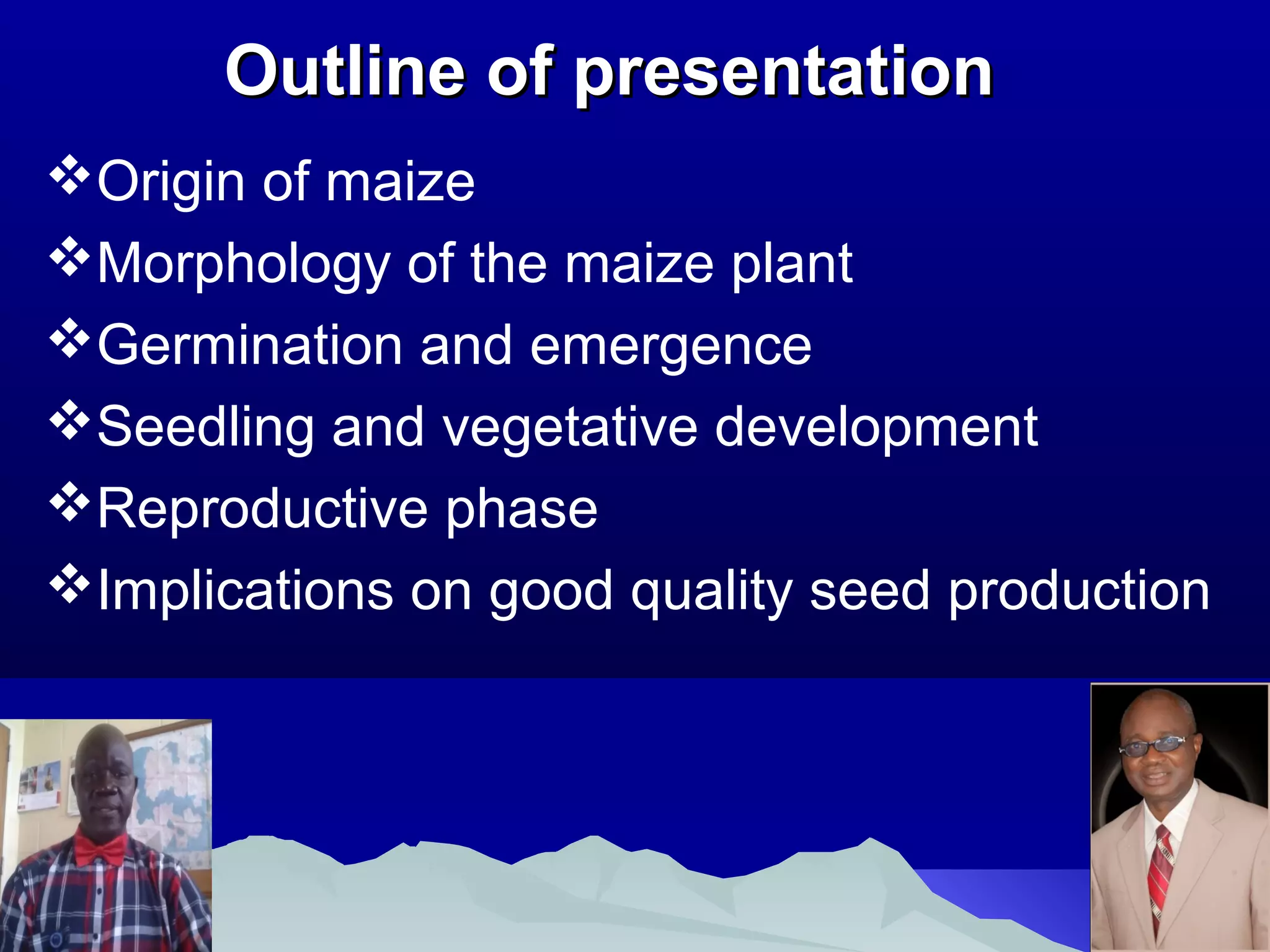 Anatomy and physiology of maize - Implications for quality maize seed ...