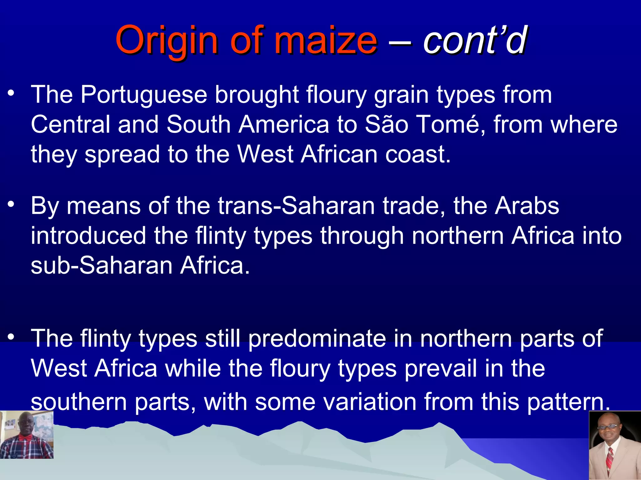 Anatomy and physiology of maize - Implications for quality maize seed ...