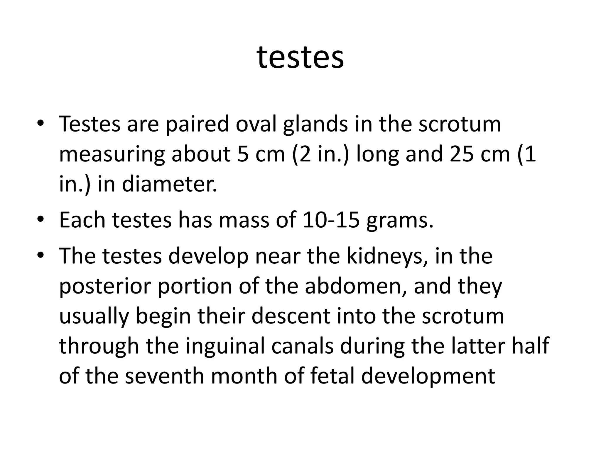 Anatomy and physiology of male reproductive system | PPTX