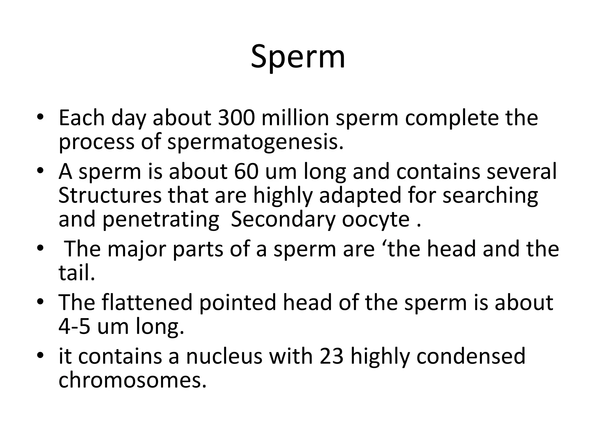 Anatomy and physiology of male reproductive system | PPTX