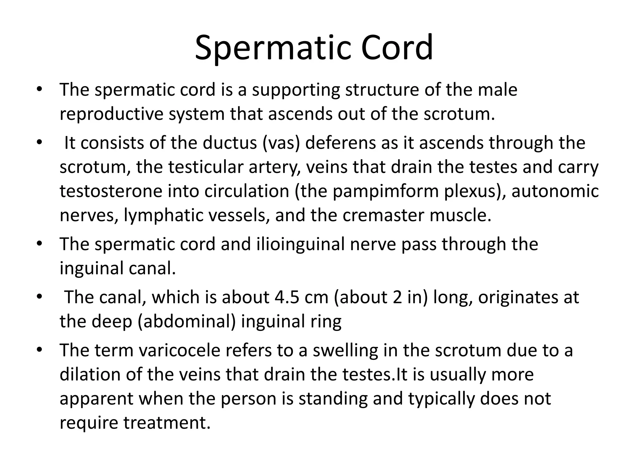 Anatomy and physiology of male reproductive system | PPTX