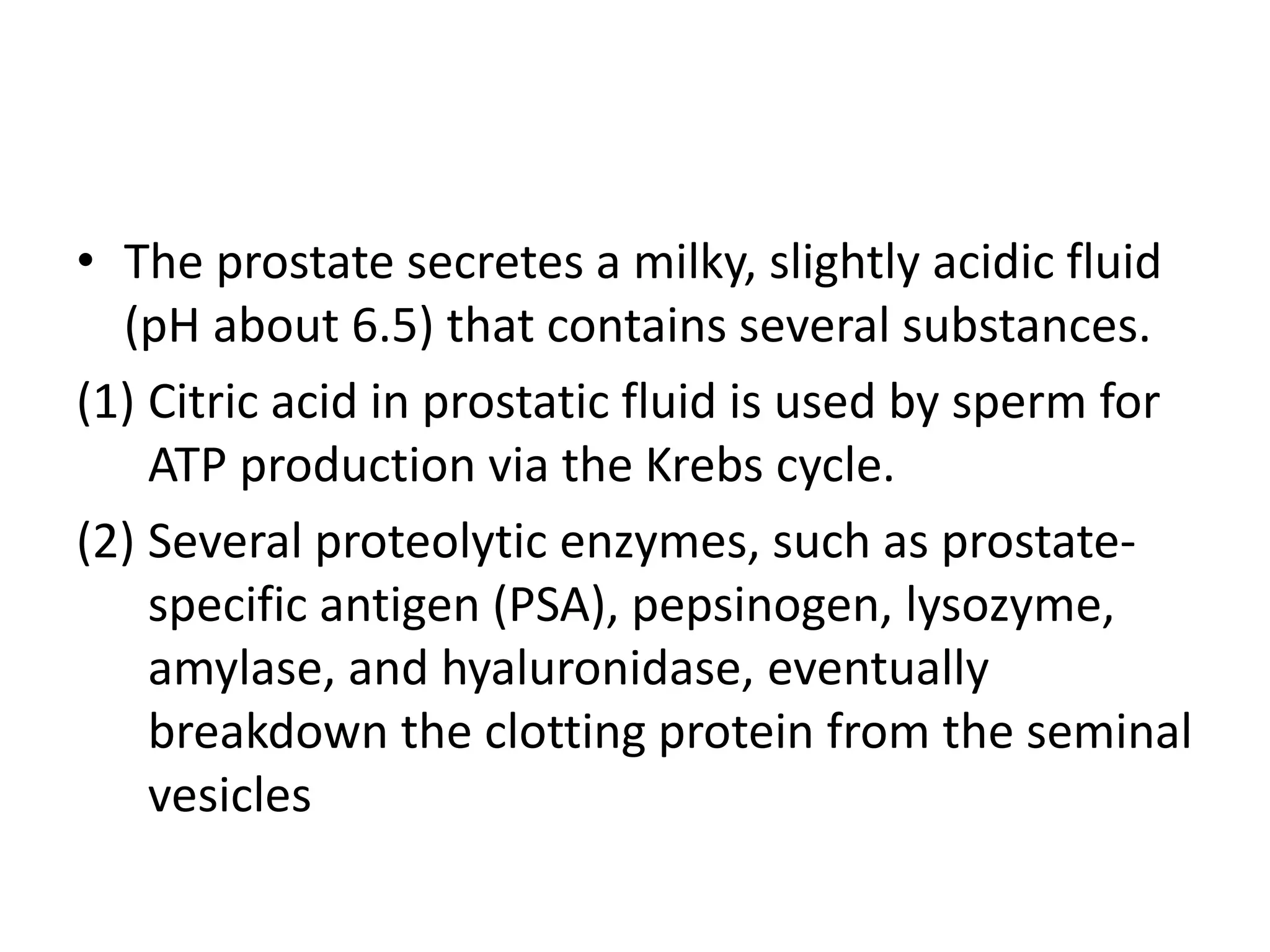 Anatomy and physiology of male reproductive system | PPTX