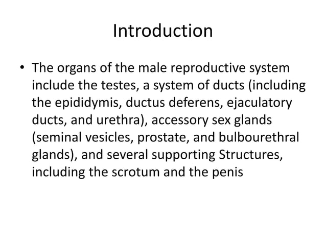 Anatomy and physiology of male reproductive system | PPTX