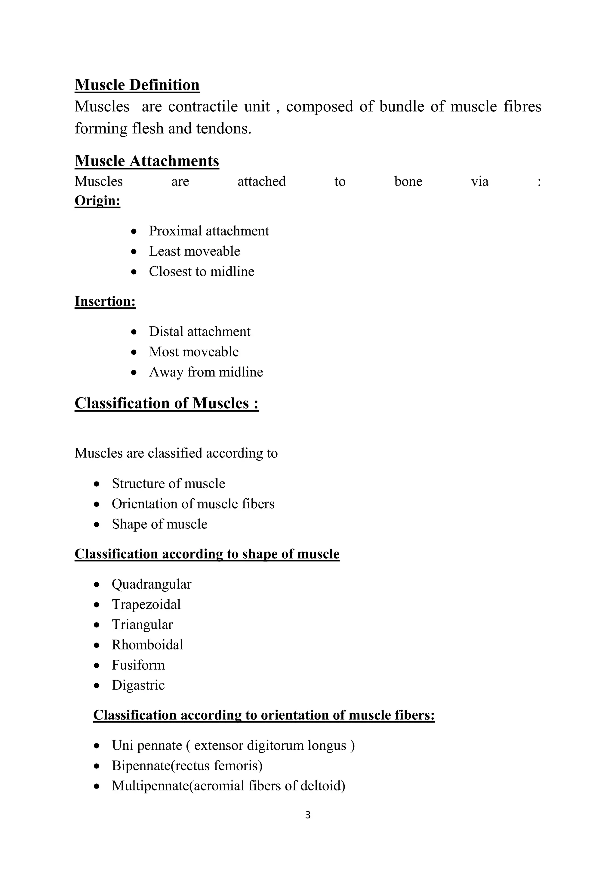 Anatomy and physiology of muscle | DOCX