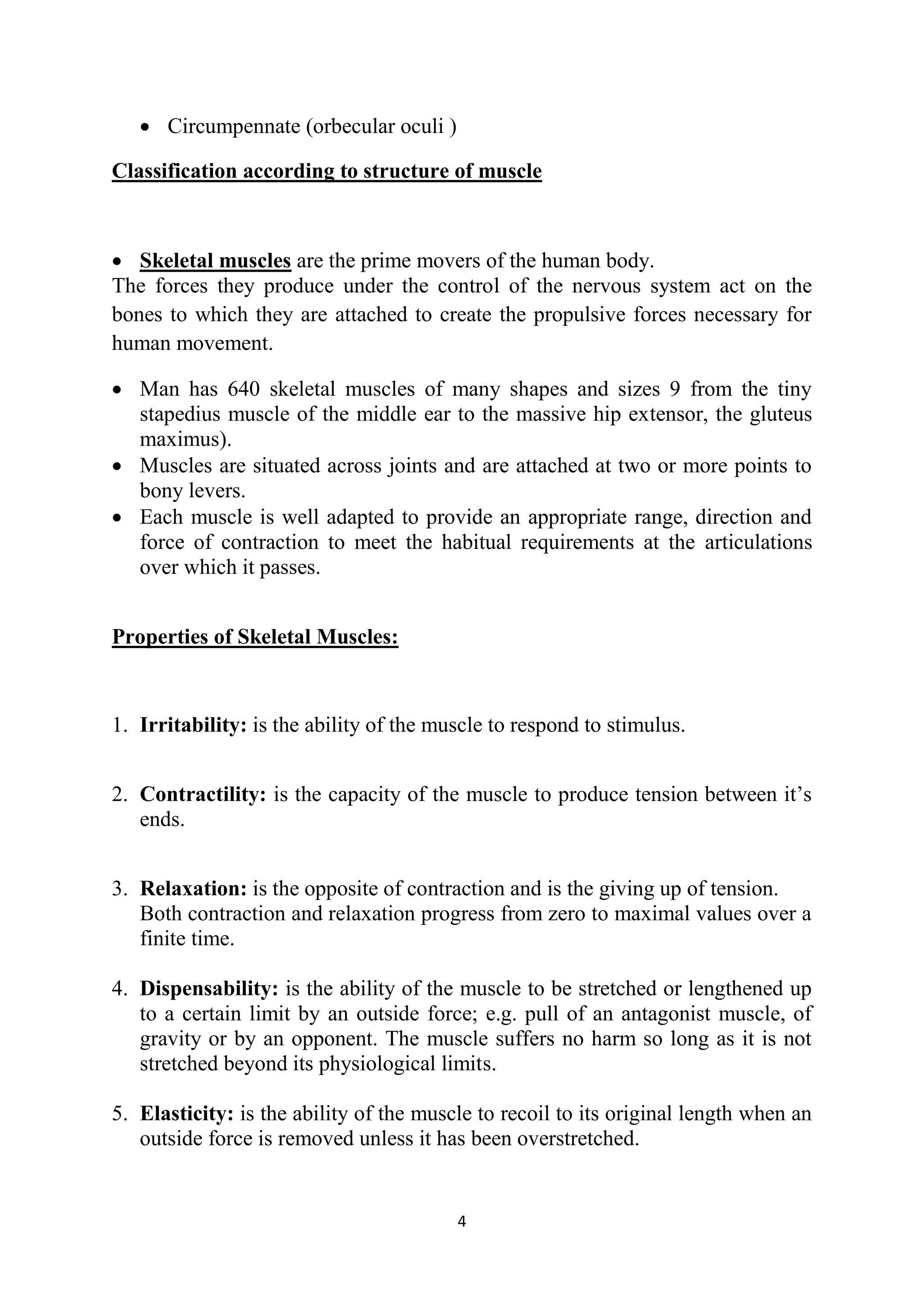 Anatomy and physiology of muscle | DOCX