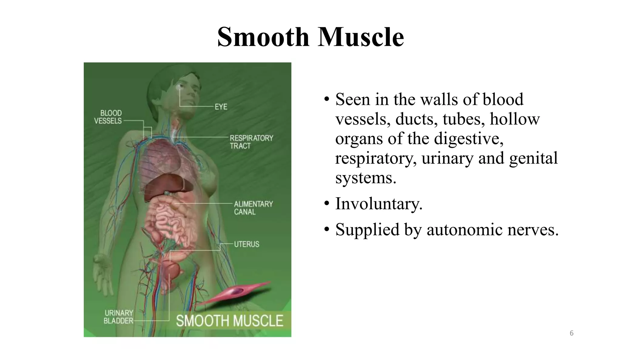 Anatomy and Physiology of Muscle by Prasanjit Shom.pptx