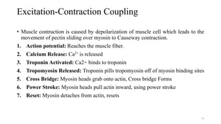 Anatomy and Physiology of Muscle by Prasanjit Shom.pptx