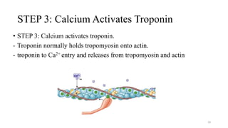 Anatomy and Physiology of Muscle by Prasanjit Shom.pptx