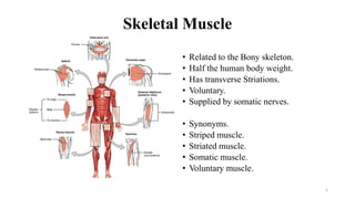 Anatomy and Physiology of Muscle by Prasanjit Shom.pptx