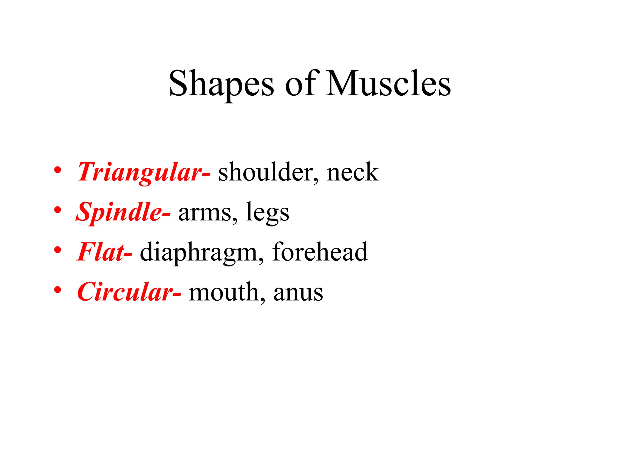 Anatomy and Physiology of Muscular System.ppt
