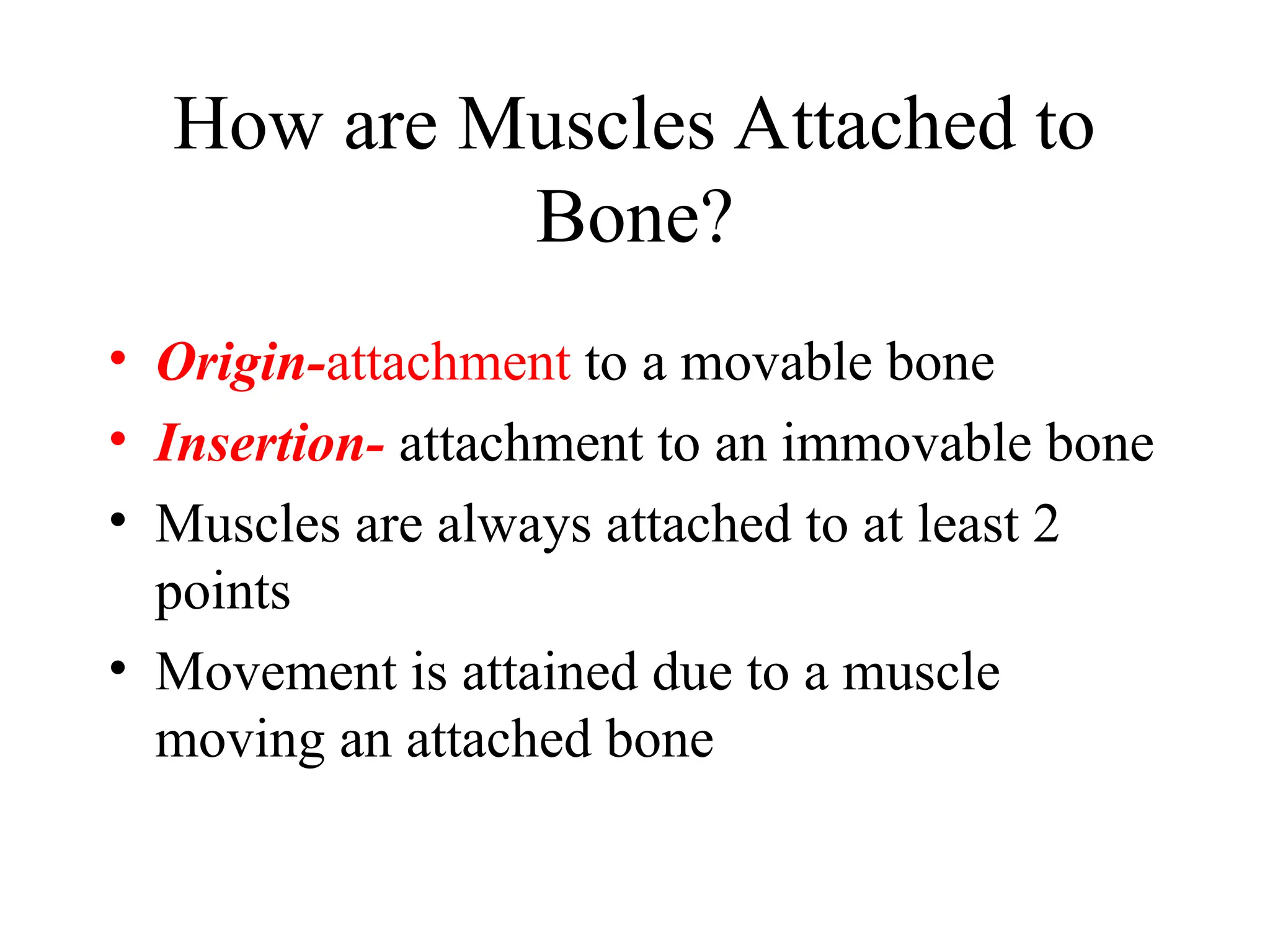 Anatomy and Physiology of Muscular System.ppt