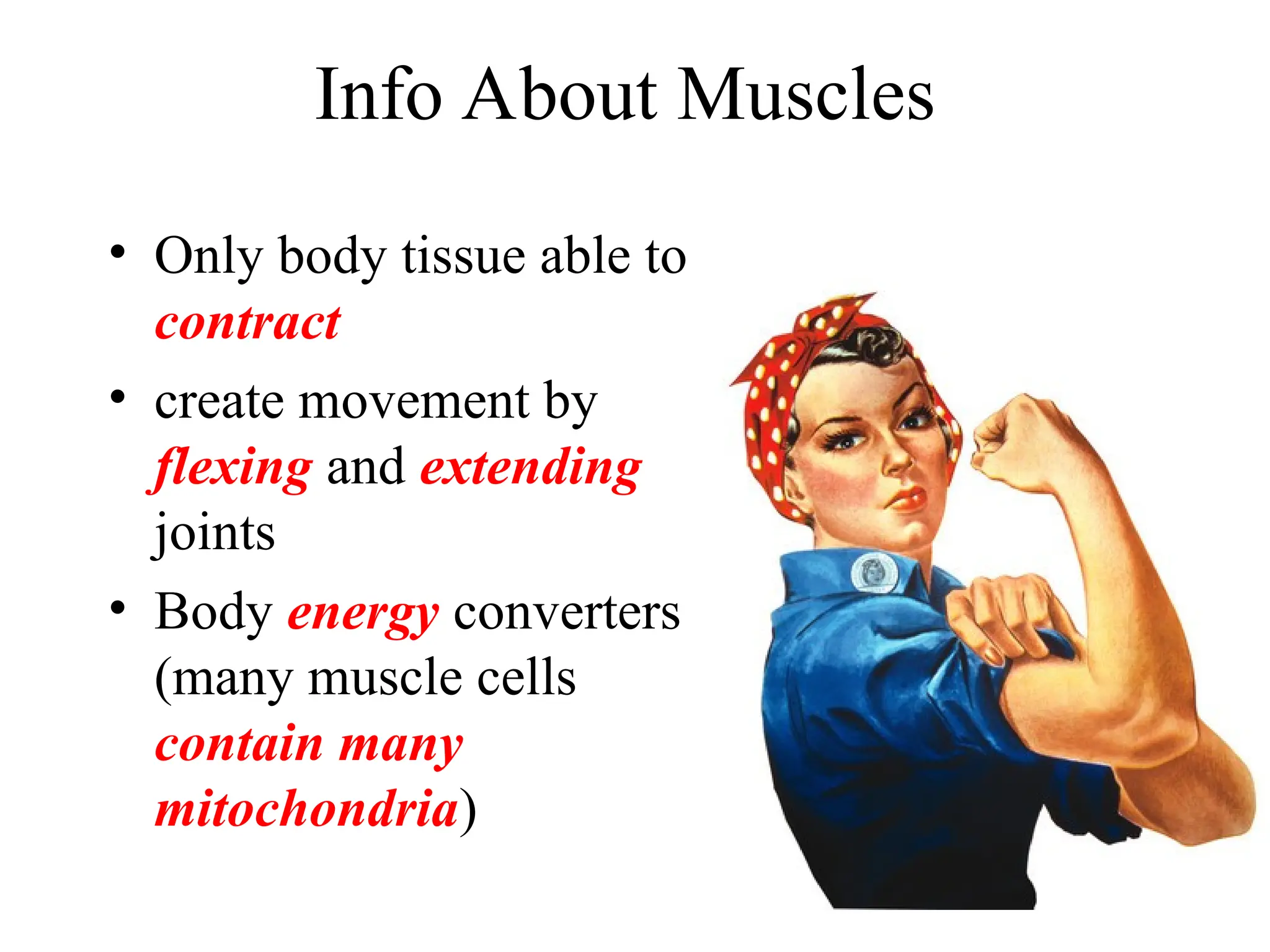 Anatomy and Physiology of Muscular System.ppt