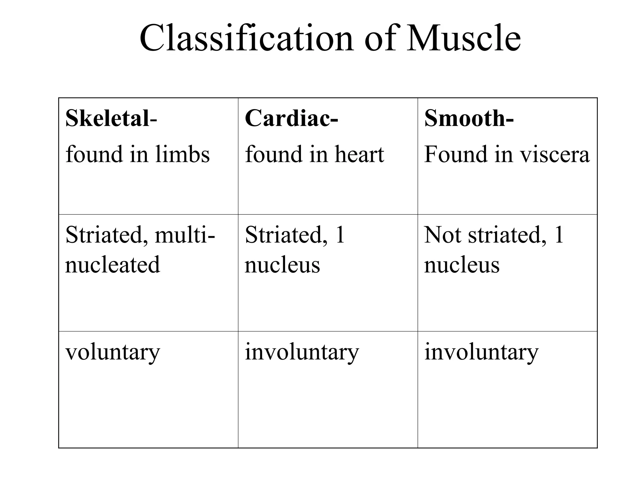 Anatomy and Physiology of Muscular System.ppt