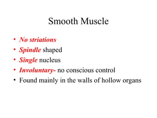 Anatomy and Physiology of Muscular System.ppt