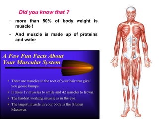 Anatomy and Physiology of Muscular System.ppt