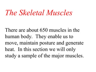 Anatomy and Physiology of Muscular System.ppt