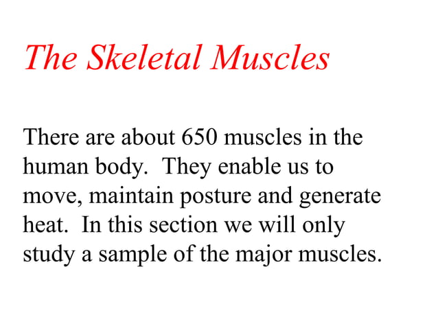 Anatomy and Physiology of Muscular System.ppt