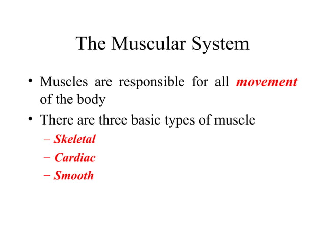 Anatomy and Physiology of Muscular System.ppt
