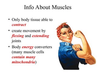 Anatomy and Physiology of Muscular System.ppt