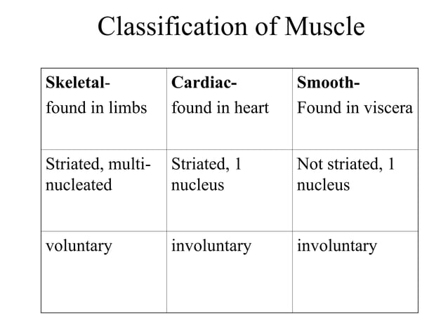 Anatomy and Physiology of Muscular System.ppt
